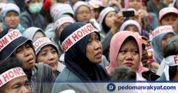 Kabar Baik Menpan Rb Tegaskan Tak Ada Phk Massal Tenaga Honorer