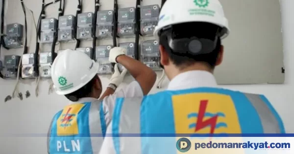 Berlaku 1 Januari 2025, Ini Golongan Listrik PLN yang Kena Tarif PPN 12%